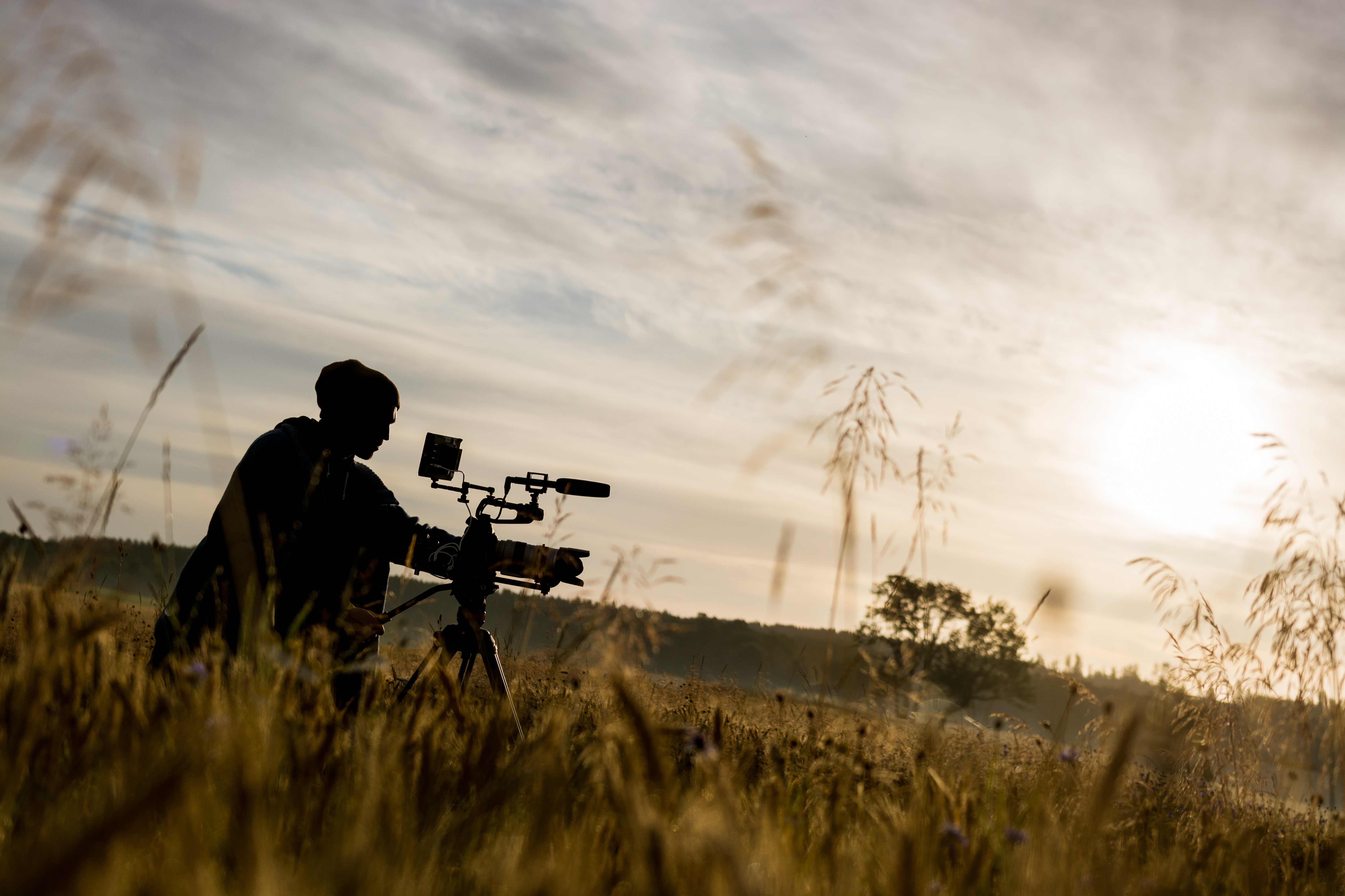 Photo Vs. Video: Key Contrasts in Craft